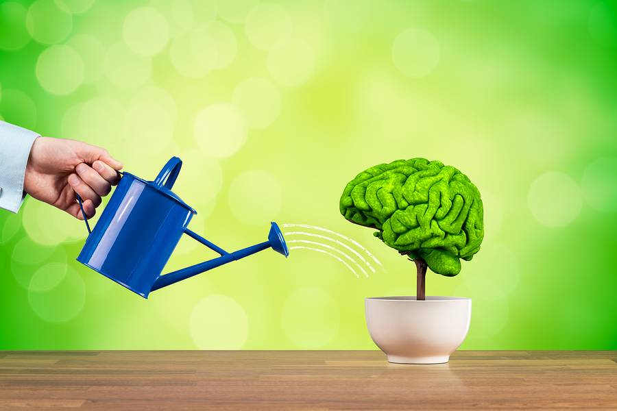 Shrink Your Waistline to Grow Your Brain | Advanced Natural Wellness